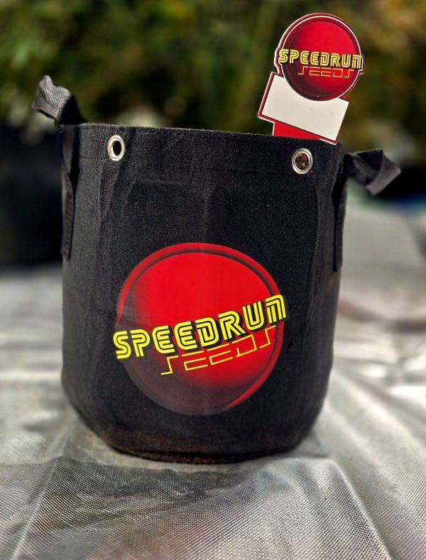 Speedrun Logo Fabric Pots - Speedrun Seeds